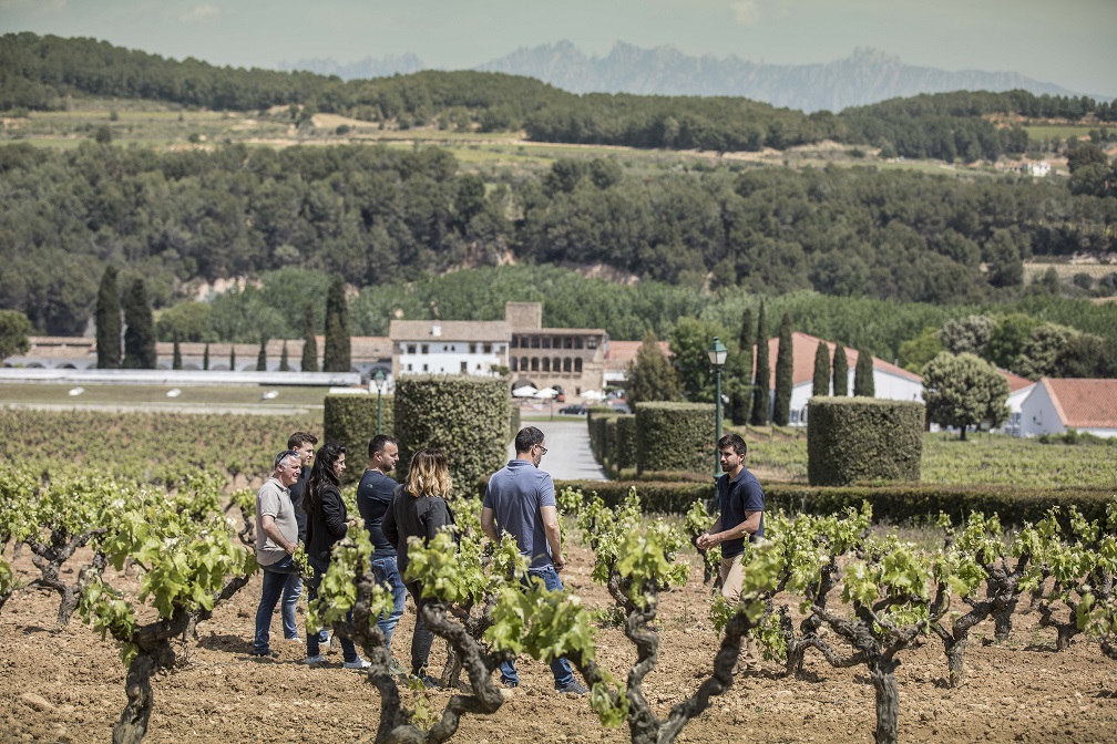 The home of good taste for 800 years | Segura Viudas